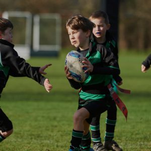 Welcome to Ripley Court School